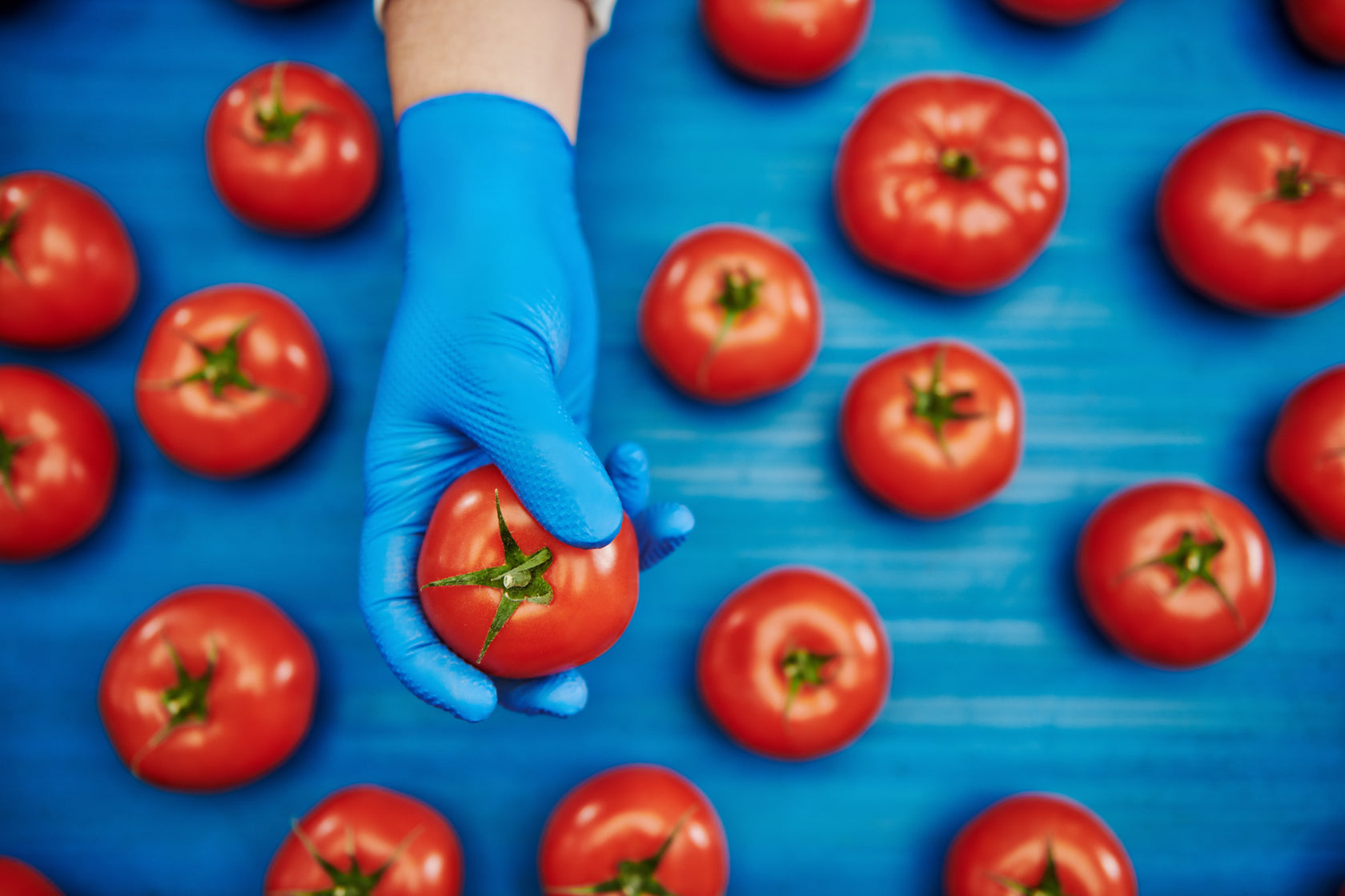 Manusi nitril mecanic auto albastre Gogrip – Dispo Trading